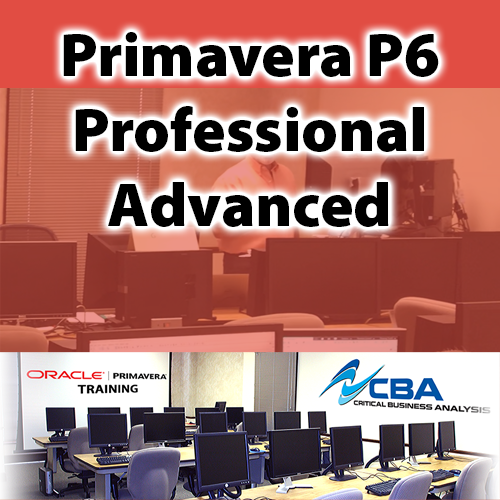 Primavera P6 Professional Advanced Training – Aug 2023 – Atlanta - CBA Inc.
